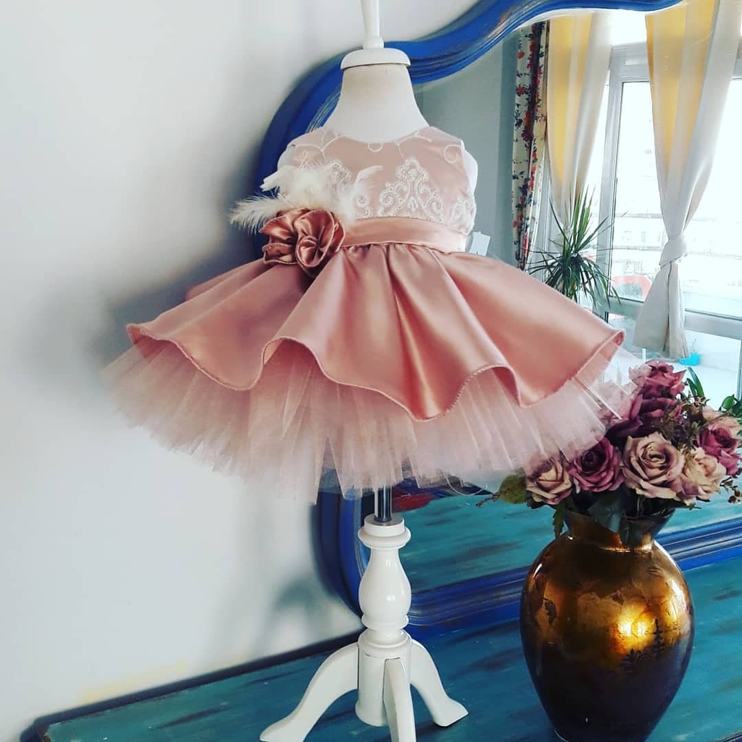 Custom Design Embriodery Baby Gown, Baby Girl Rose Dress, Girls Lace ...