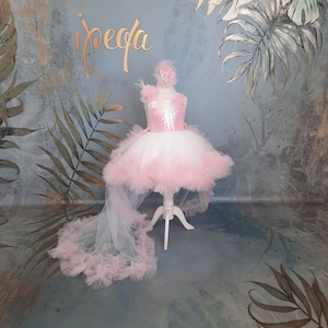 Powder Pink Girl Pageant Dress Detachable Train, Long Tail Baby Grown ...