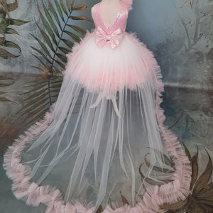 Powder Pink Girl Pageant Dress Detachable Train, Long Tail Baby Grown ...
