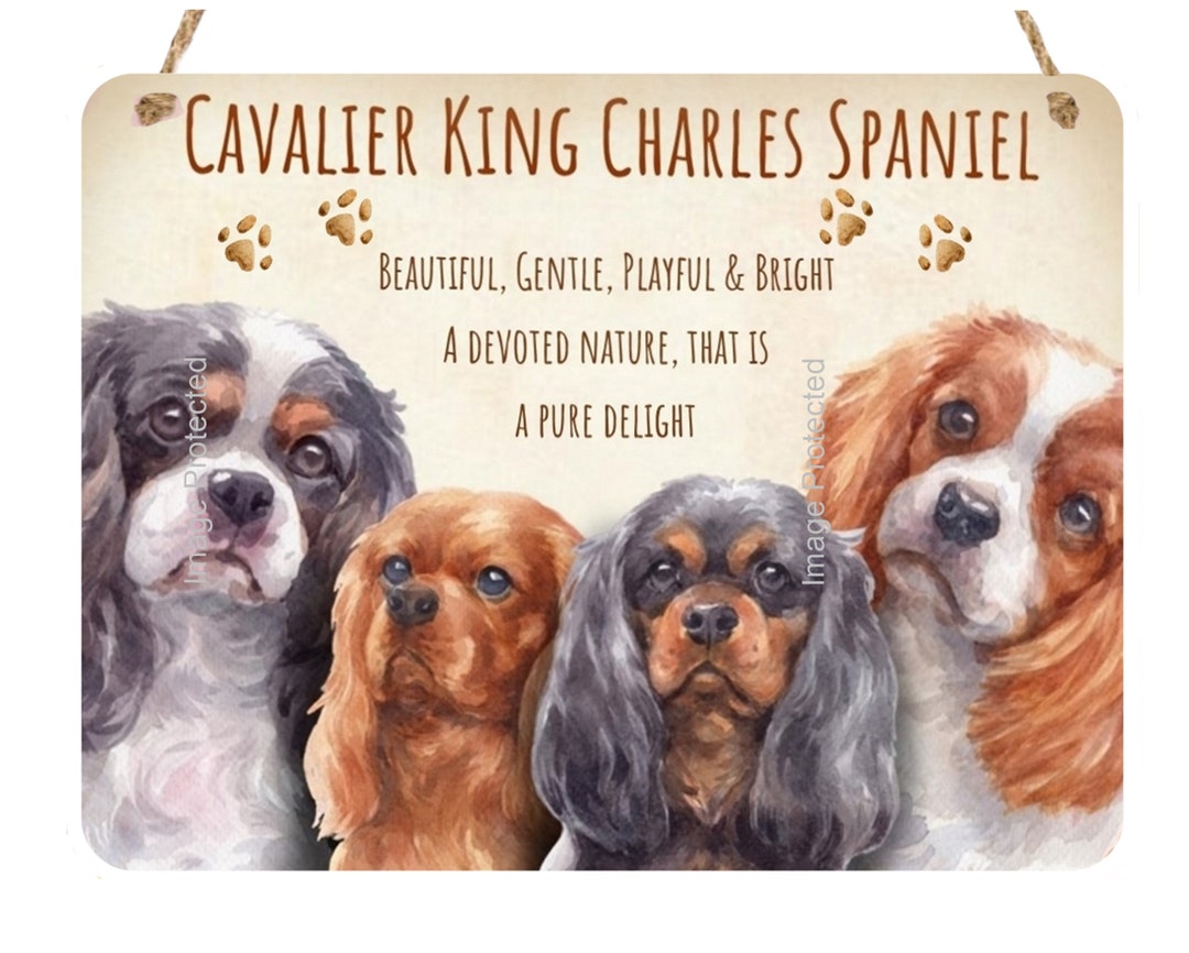 Metal Dog Sign - the Cavalier King Charles Spaniel - Etsy UK