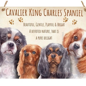 Metal Dog Sign - the Cavalier King Charles Spaniel - Etsy