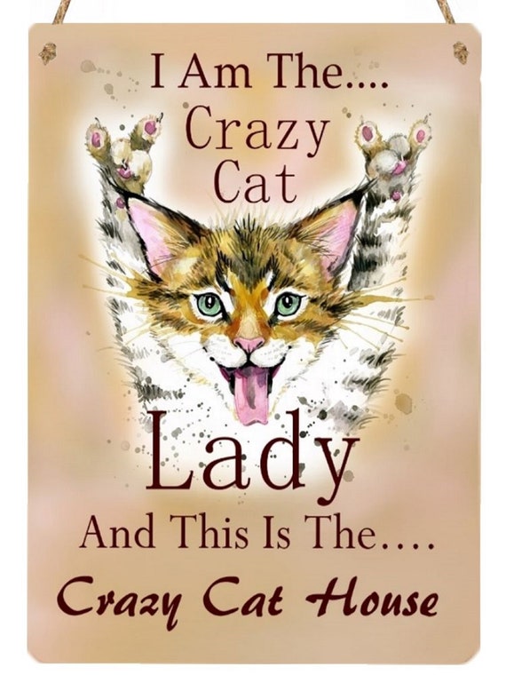 House Crazy Cat Clipart 2,696 Crazy Cat House High Res Illustrations