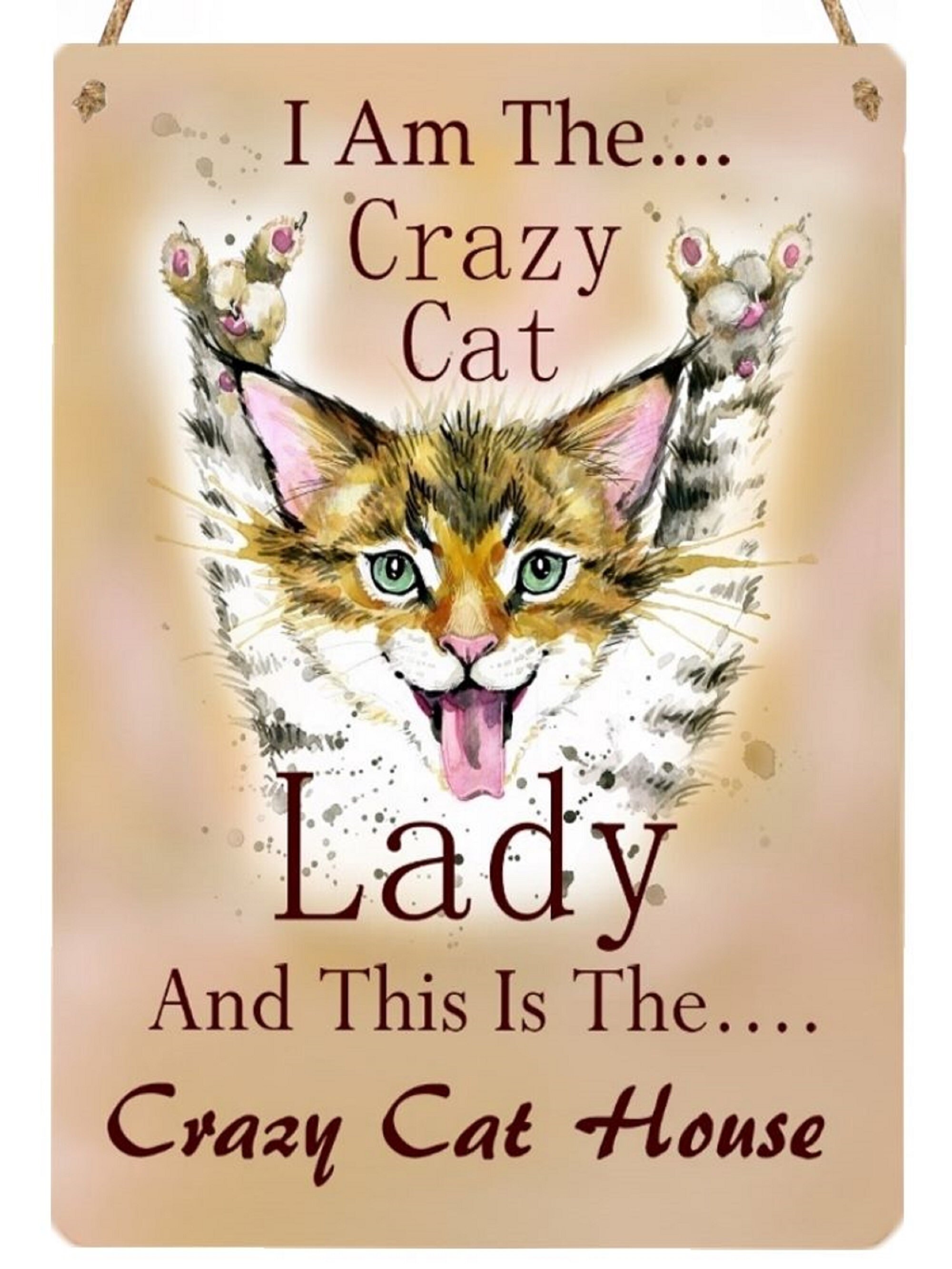 Cat Sign Hanging Metal Sign Crazy Cat House Cat Sign - Etsy UK