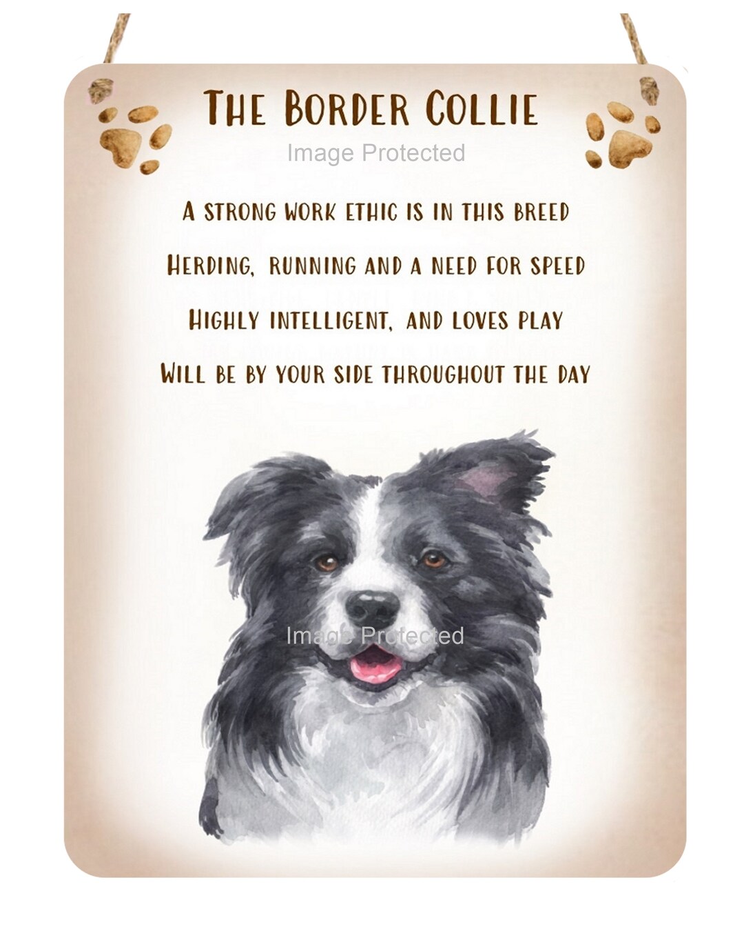 Metal Dog Sign the Border Collie - Etsy
