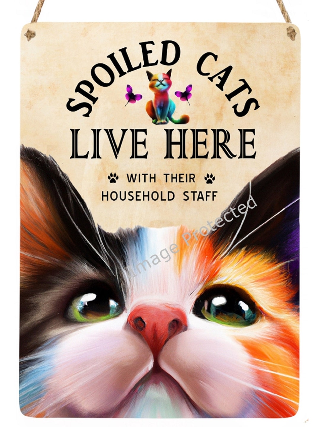 Spoiled Cats Live Here Colourful Hanging Metal Sign Cat Sign/wall Art ...