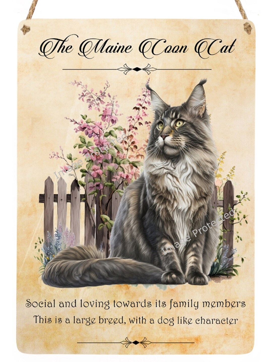 Cat Breed Sign - the Maine Coon Cat - Etsy