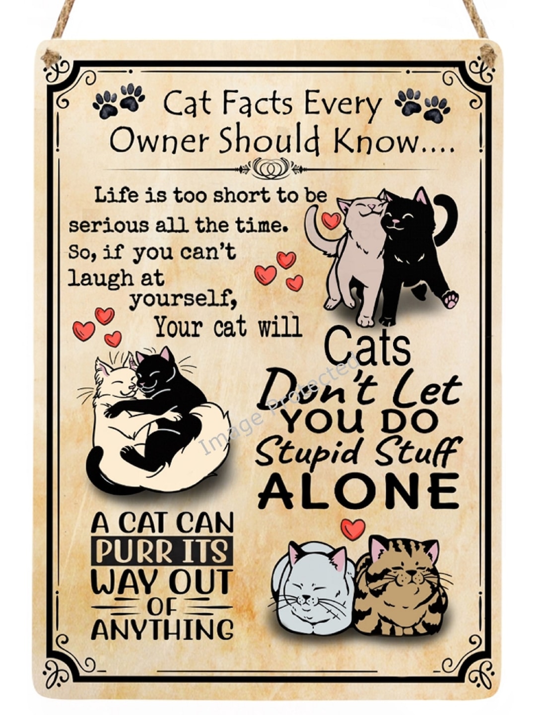 Funny Cat Facts Metal Sign - Unique Home Decor - Etsy UK