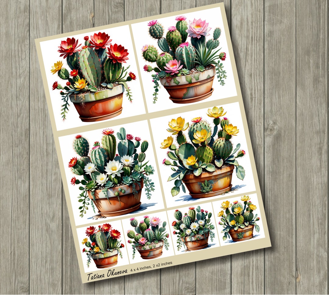 Cacti and Succulents Printable Coasters PNG JPG Digital - Etsy