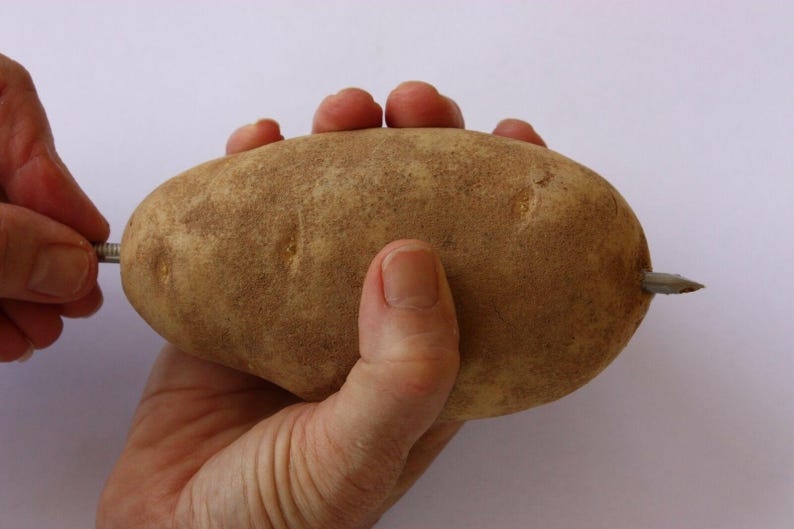 8 Inch Potato Baking Nails - Stainless Steel Spikes - 4 Pack - Spud ...