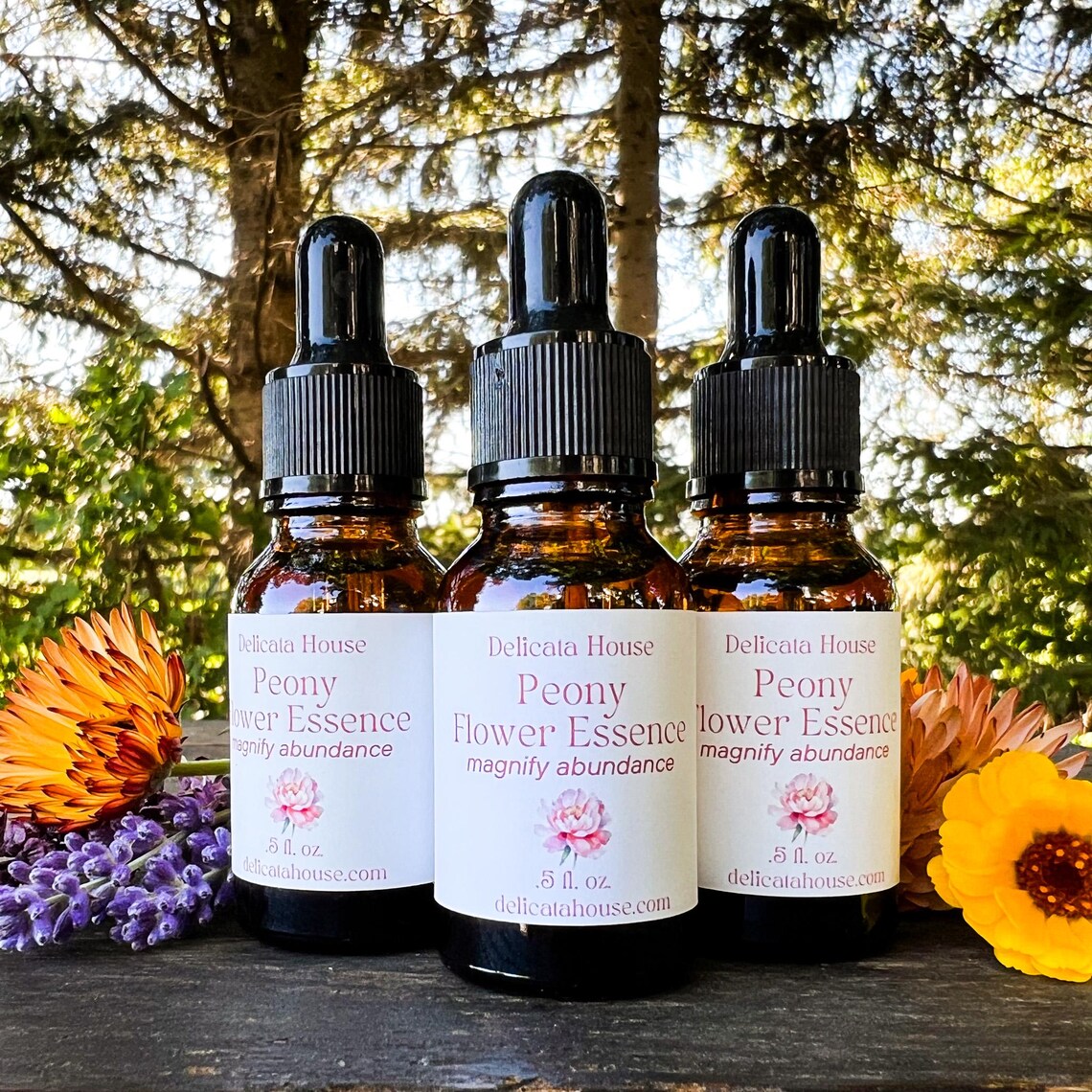 Peony Flower Essence: Root Chakra Support, Magnify and Attract ...