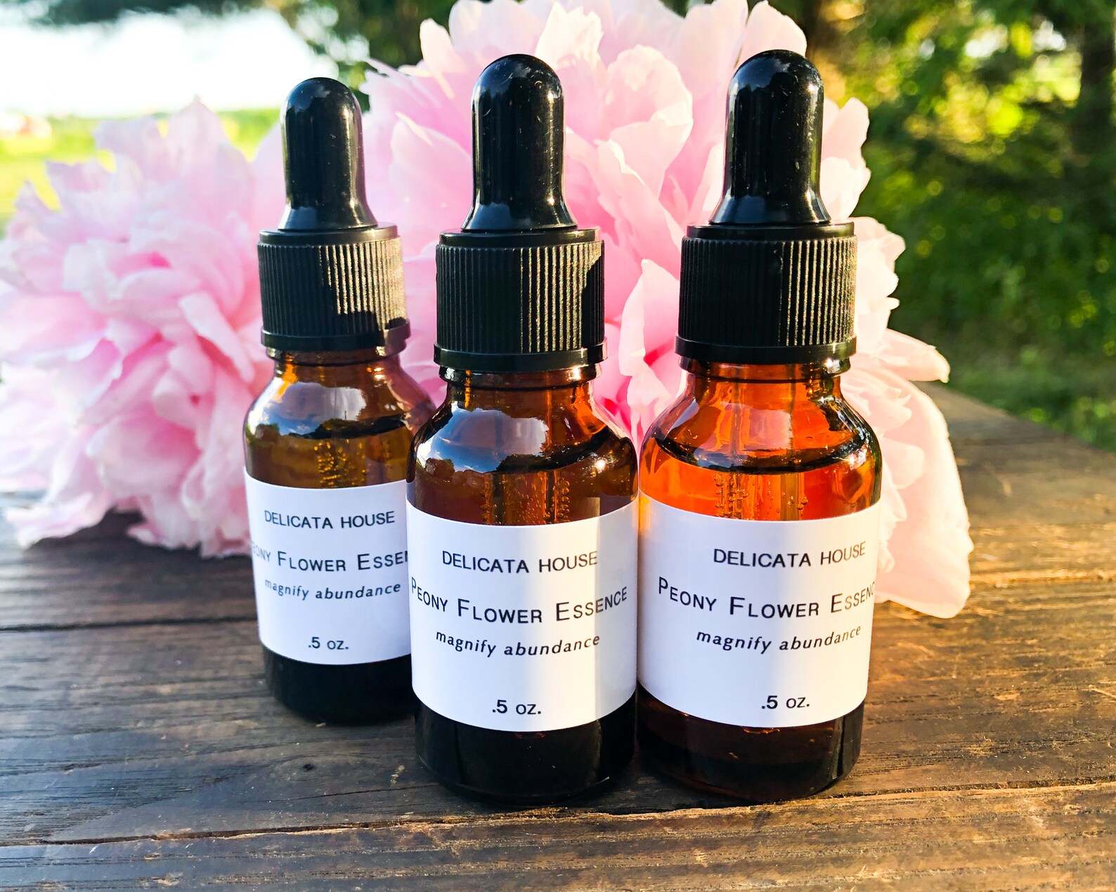 Peony Flower Essence: Root Chakra Support, Magnify and Attract ...