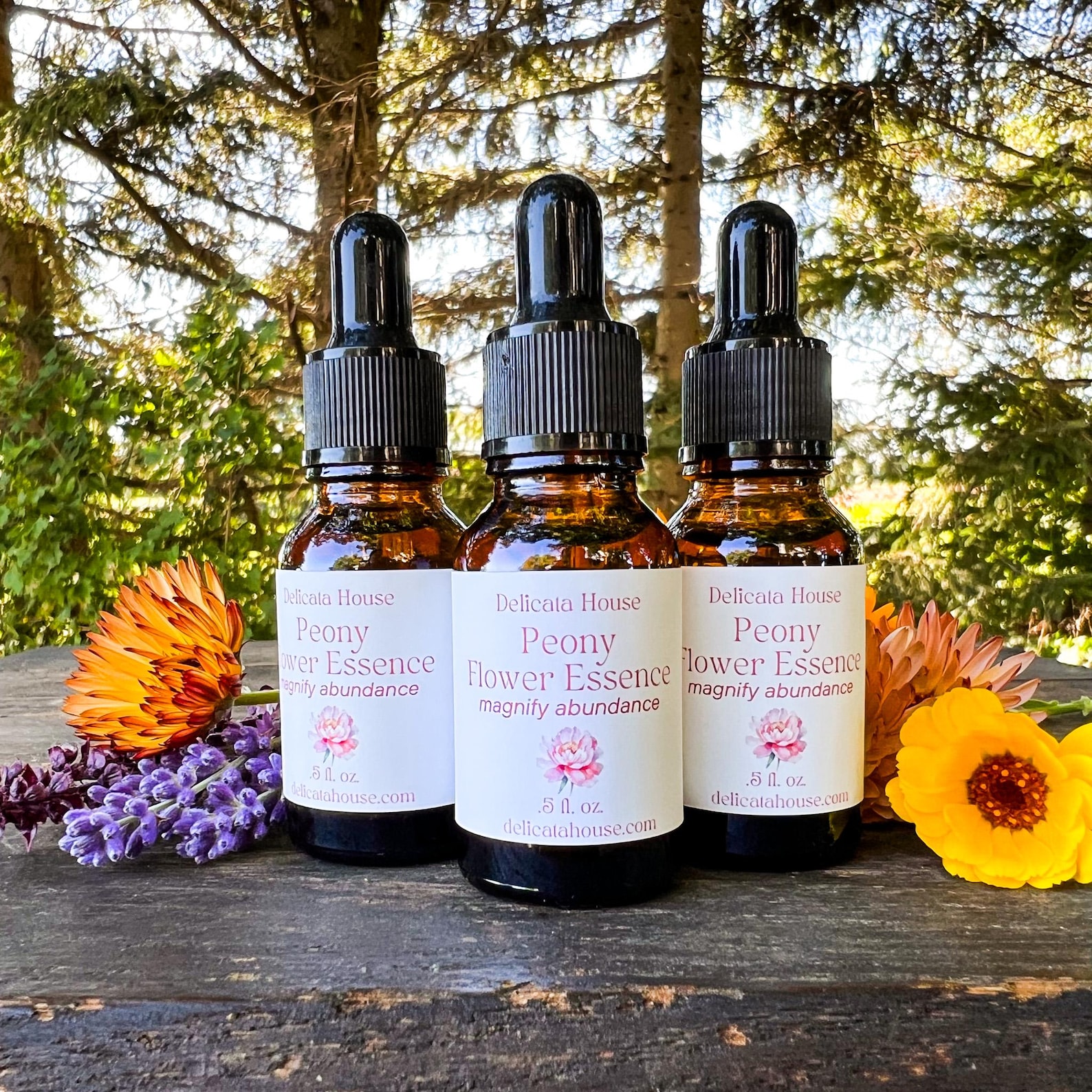 Peony Flower Essence: Root Chakra Support, Magnify and Attract ...