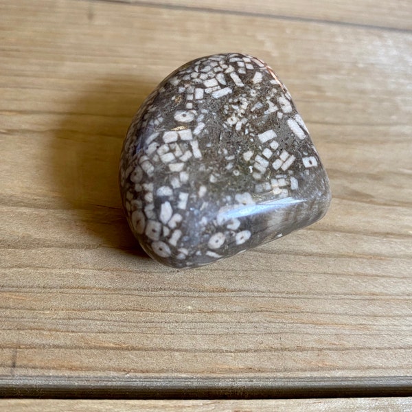 Fossil Stone - Etsy