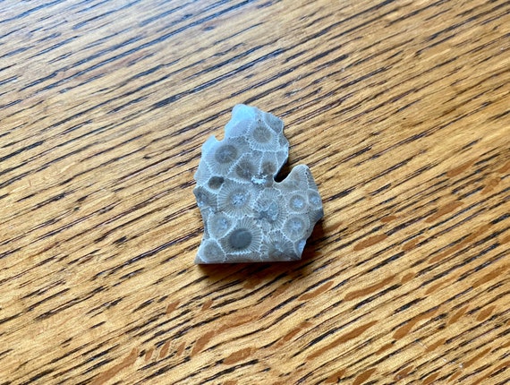 Petoskey Stone State of Michigan Cutout Cabochon - Etsy