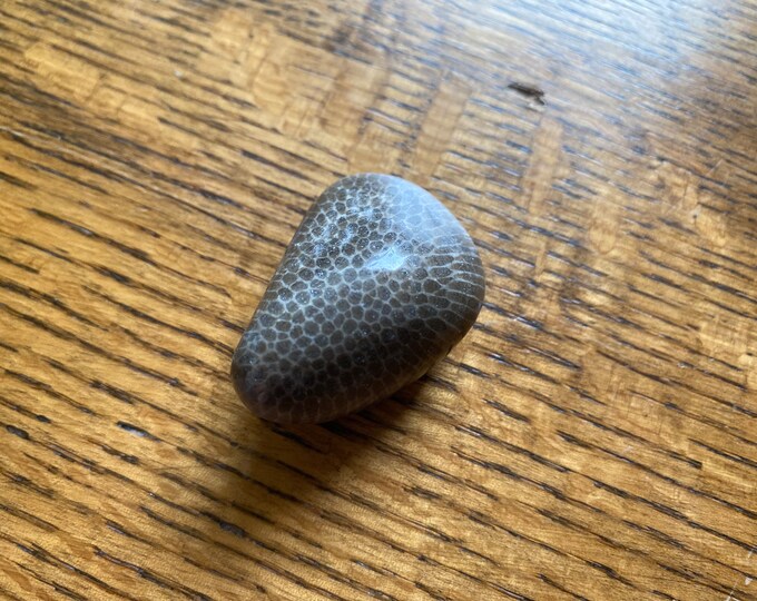 Polished Charlevoix Stone Favosite 1.7” X 1.2” - Etsy