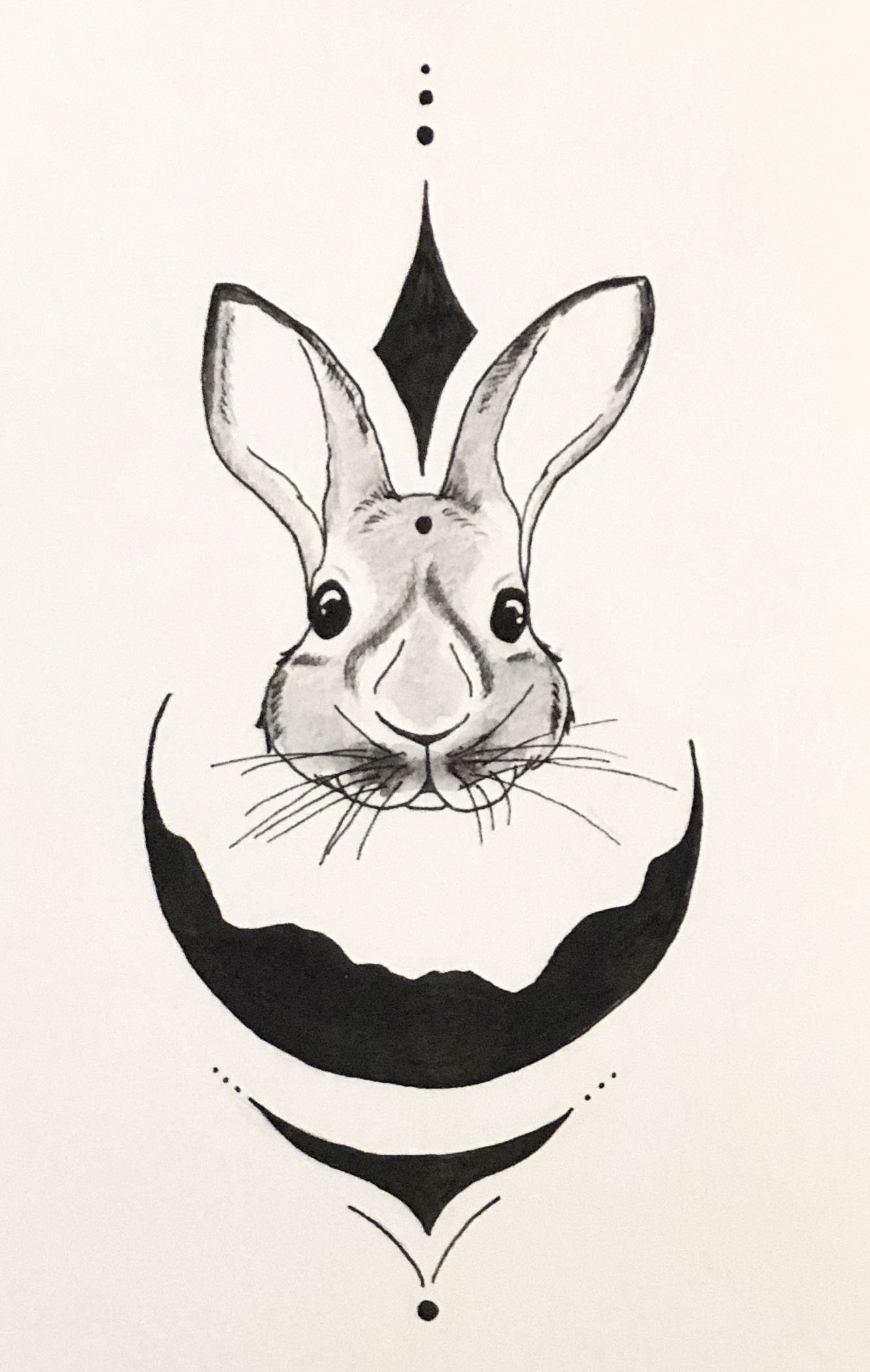 Original Rabbit, Bunny, Spirit Animal, Wildlife, Forest Animal ...