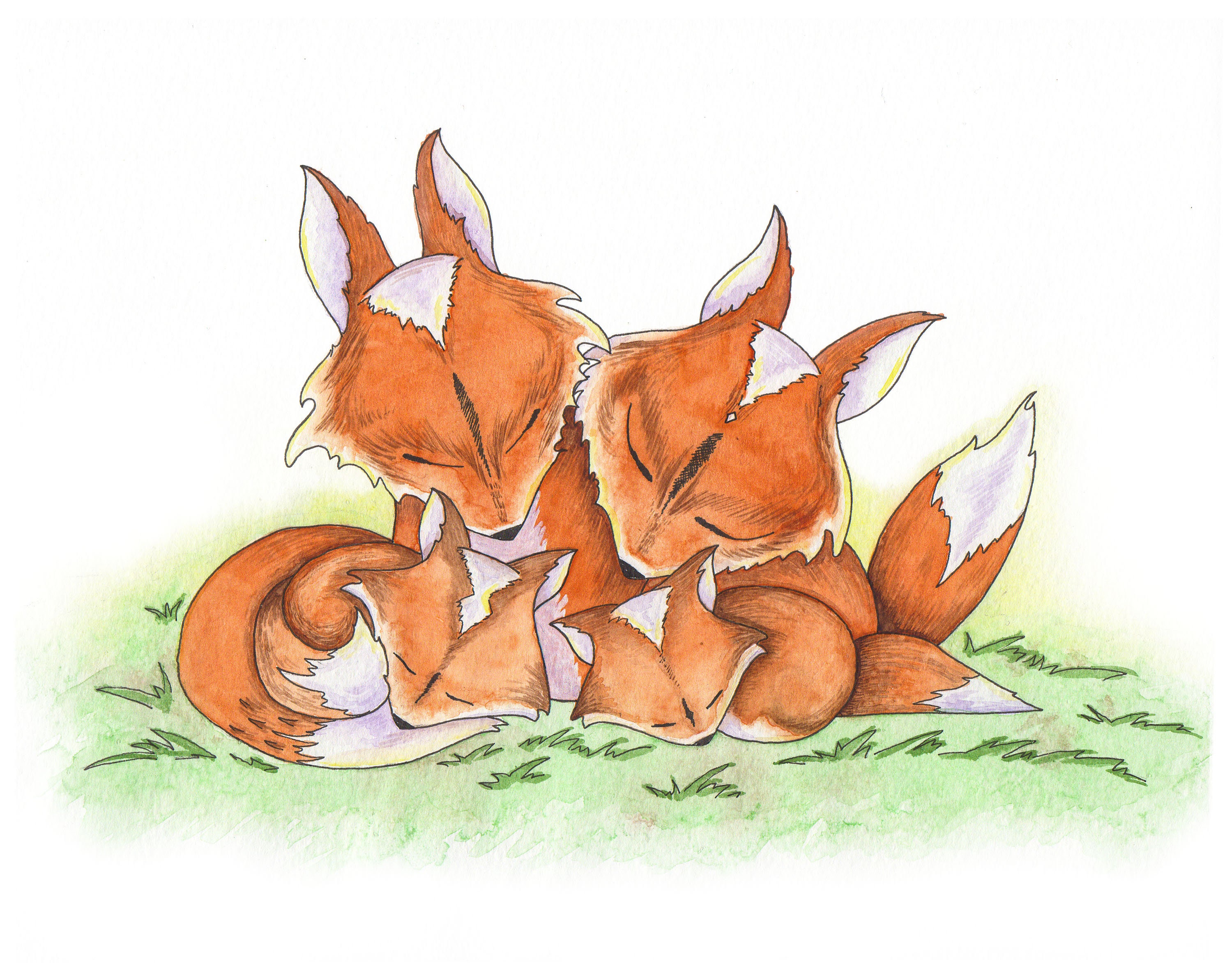 Drawing Of Fox Family