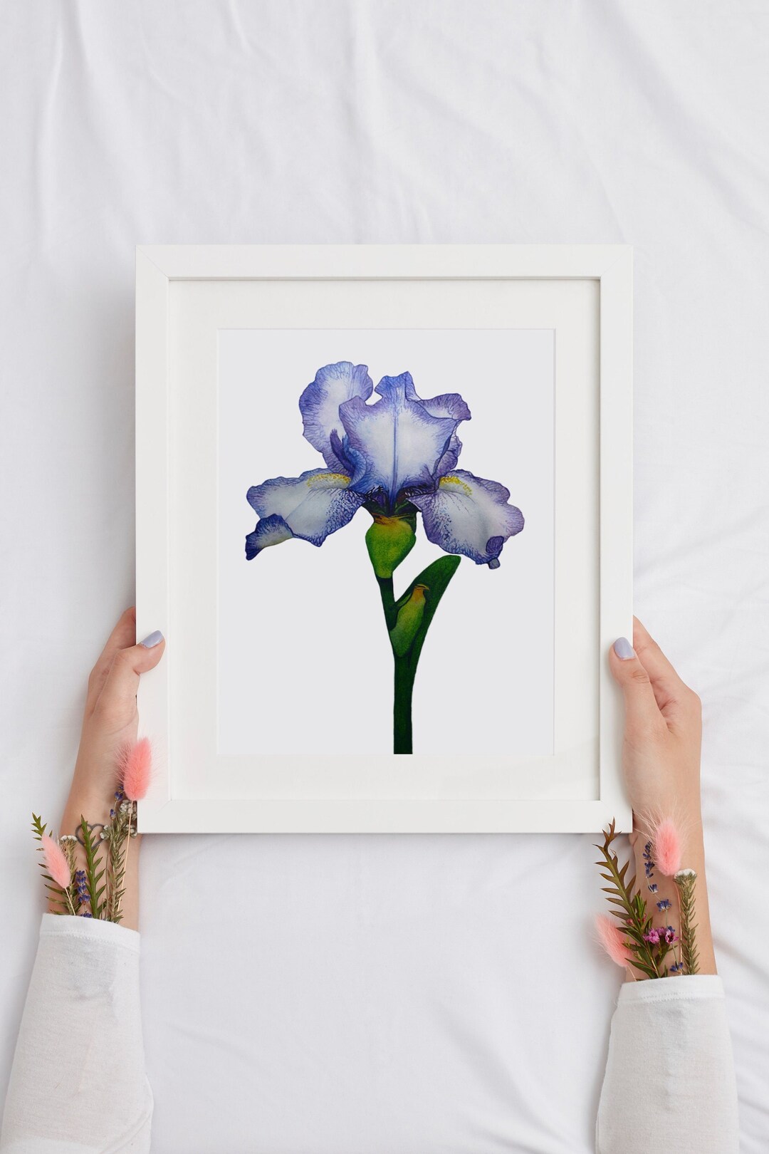Iris Watercolour Print, Botanical Flower Art (A4) - Etsy