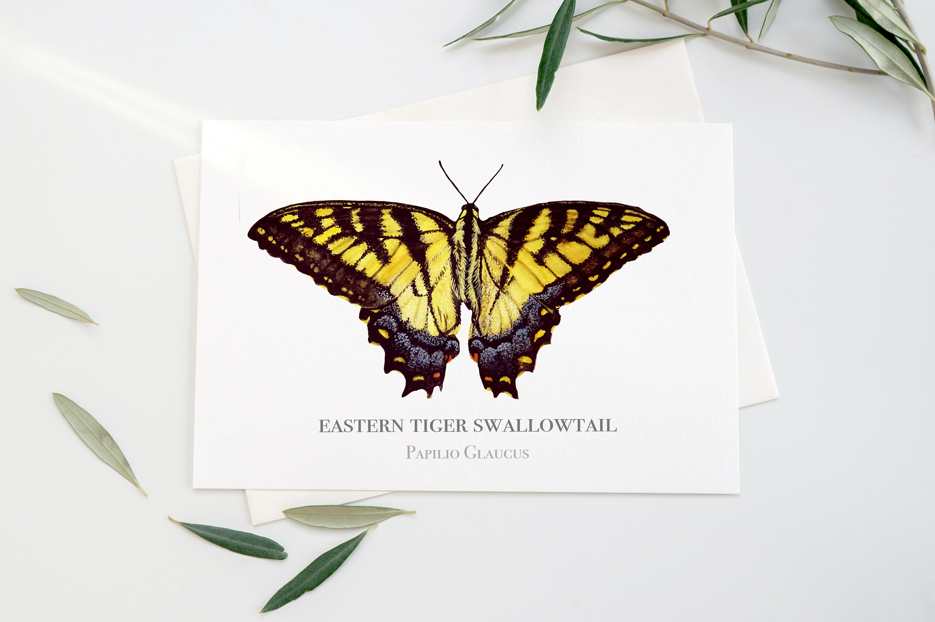 Tiger Swallowtail Butterfly Print, Watercolor Botanical Wall Art - Etsy