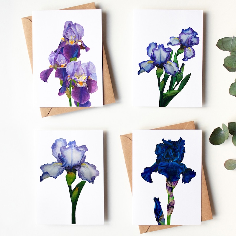 Iris Card - Etsy