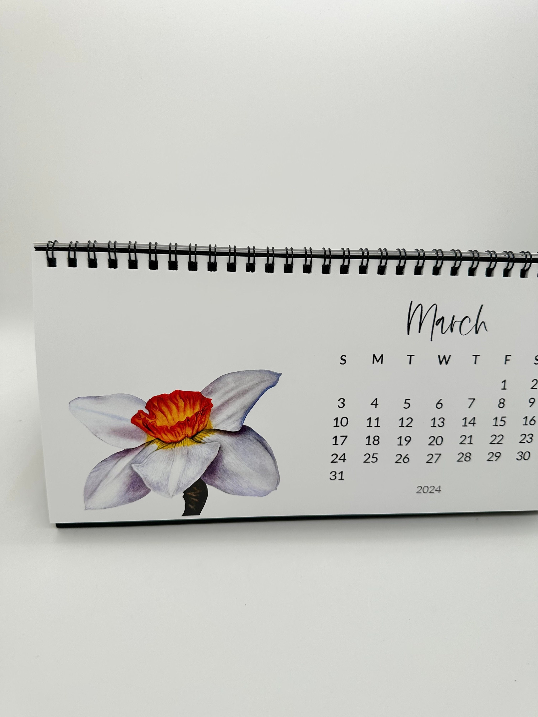 Botanical Desk Calendar, Small Calendar, Art Illustrated Calendar ...
