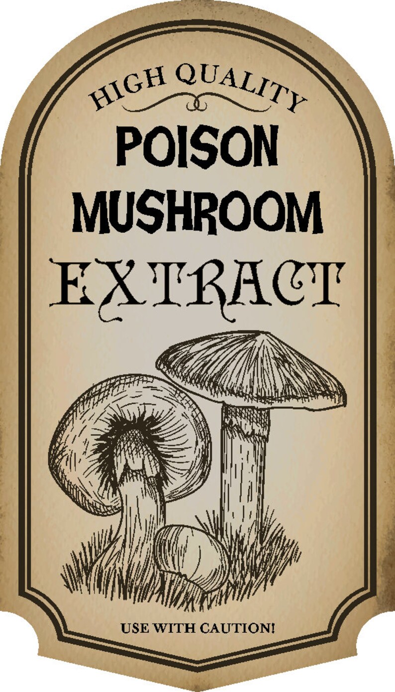 Potions Labels Stickers 4 Pieces - Etsy