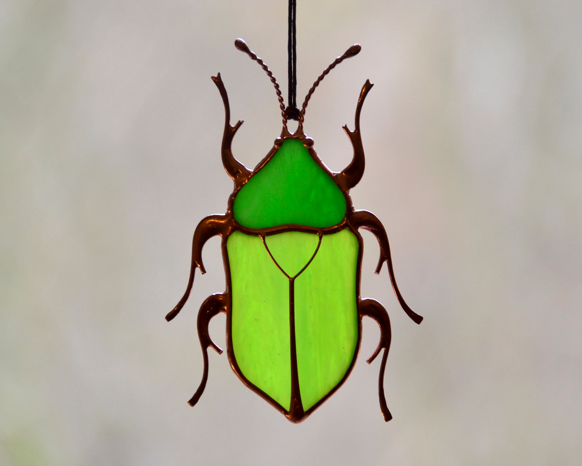 Stained Glass Beetle, Bug Suncatcher, Glass Home Decor, Window Hangings ...