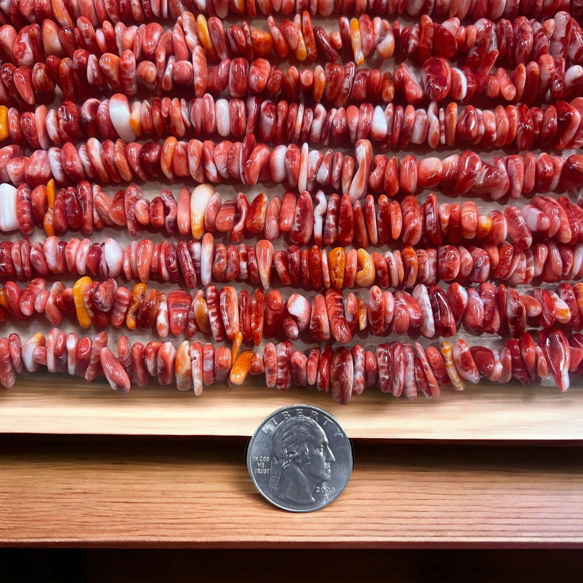 Spiny Oyster Shell Chips 9-15mm - Etsy