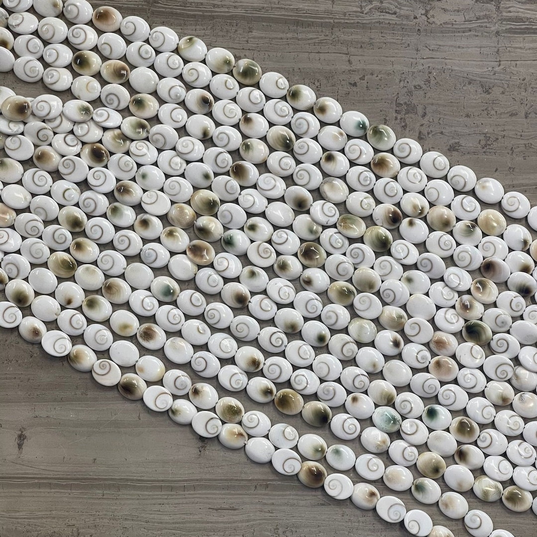 Shiva Shell, Pacific Cat's Eye Shell, Operculum, Gastropod Oval 10x12mm ...