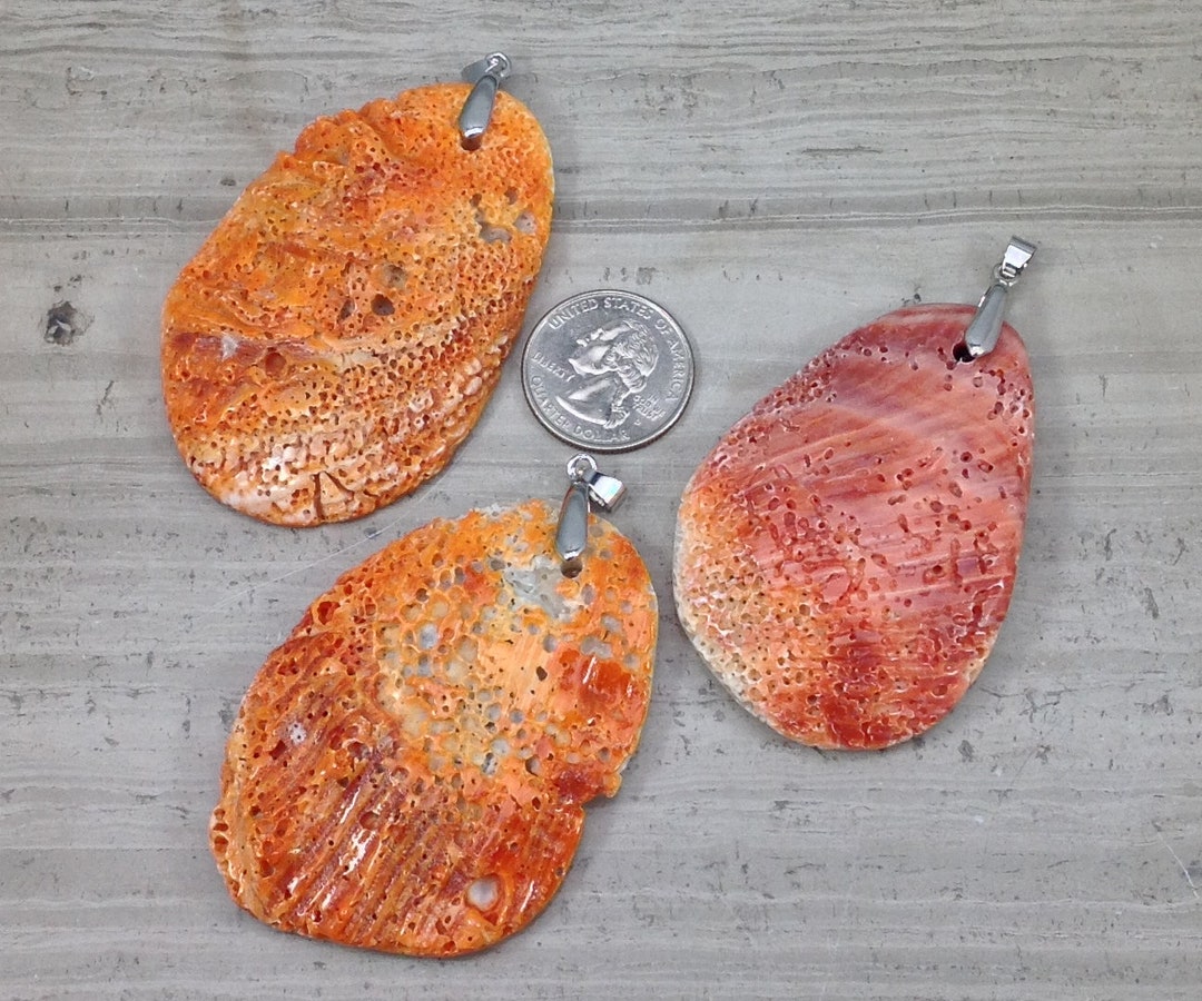 Spiny Oyster Shell Freeform Pendant, Add on Stainless Steel Chain ...