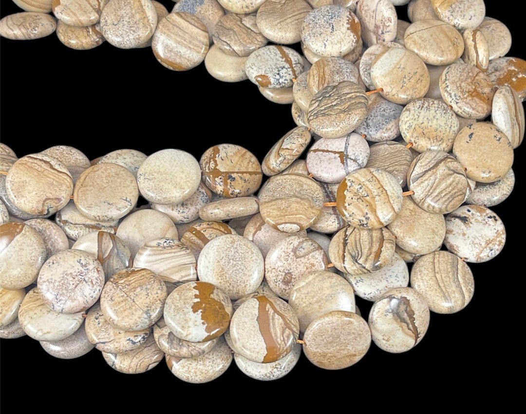 Kalahari Jasper Aka Picture Jasper 20mm Coin Shape - Etsy