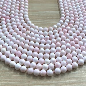 Queen Conch Shell A Grade Round 8mm - Etsy