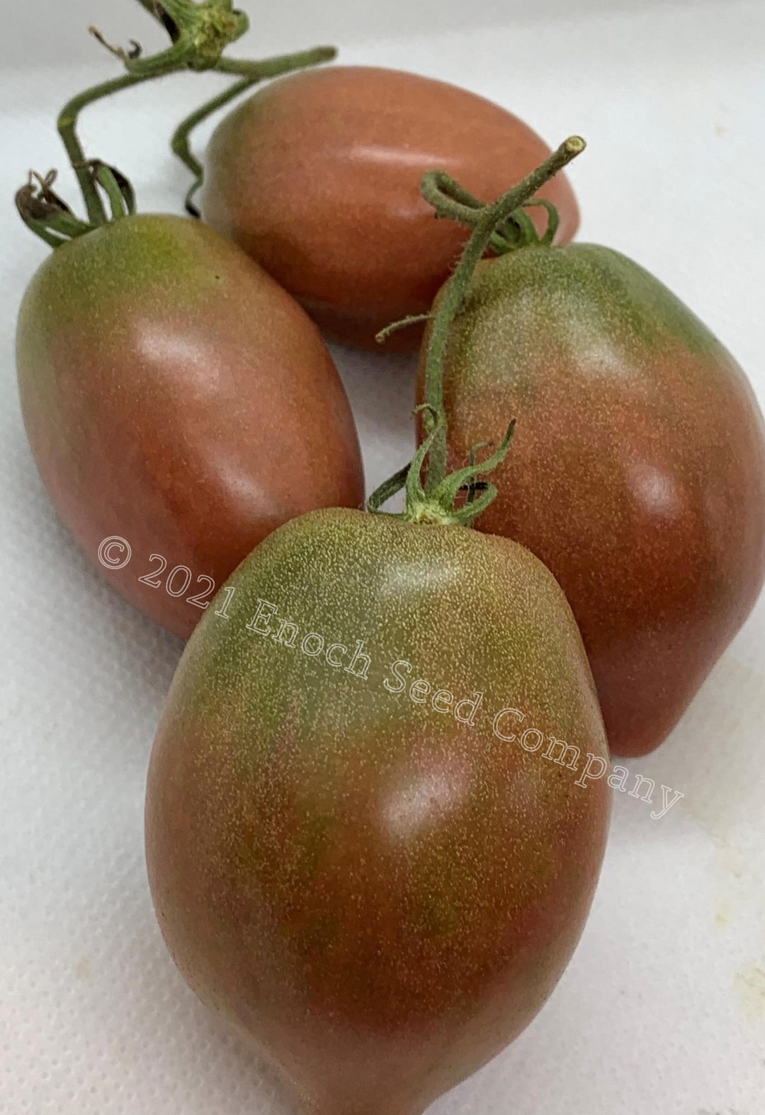 Purple Russian Tomato aka Ukrainian Purple Tomato - Etsy Sweden