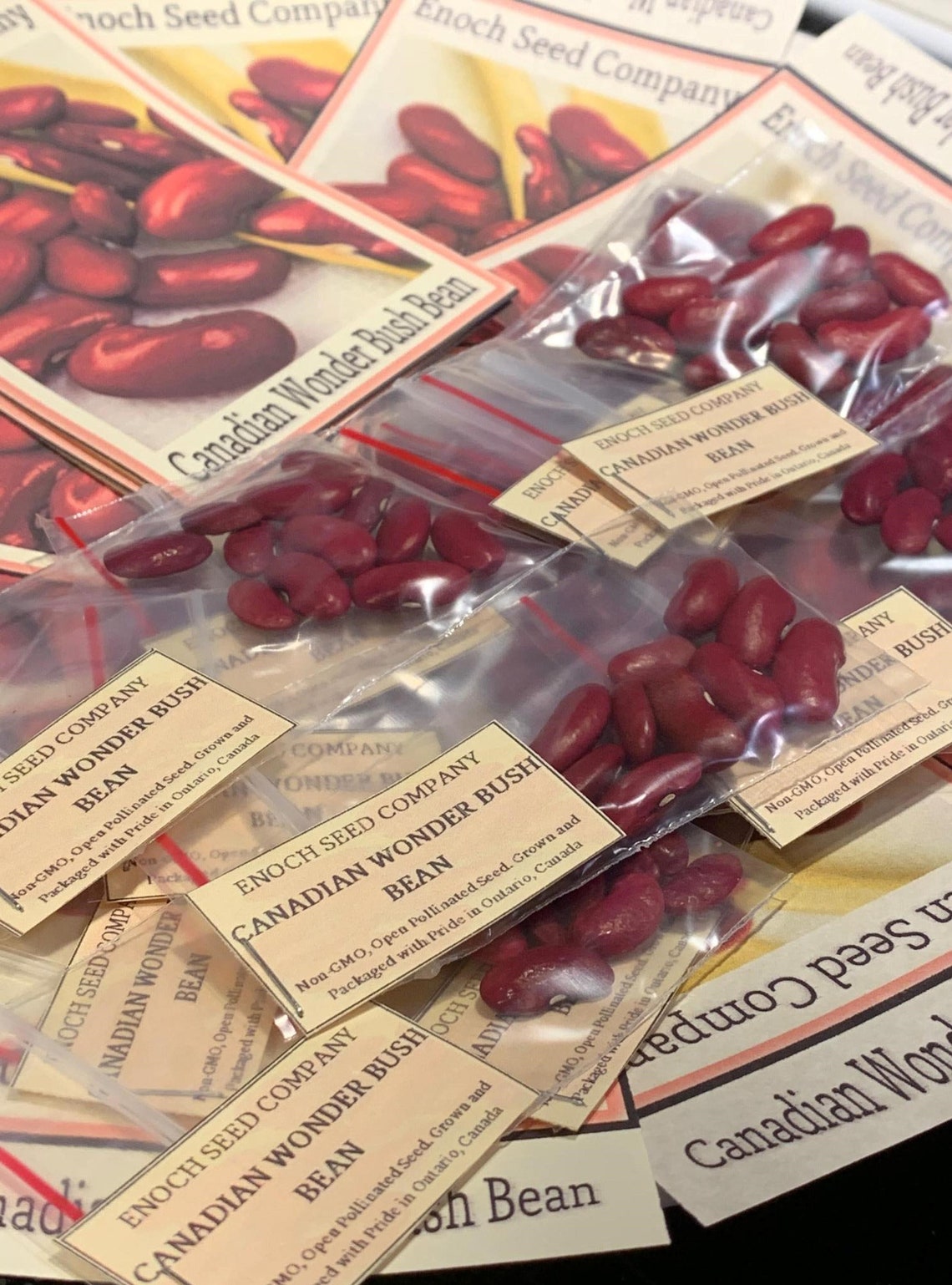 Canadian Wonder Bush Bean Rare Heirloom Red Beans - Etsy Canada