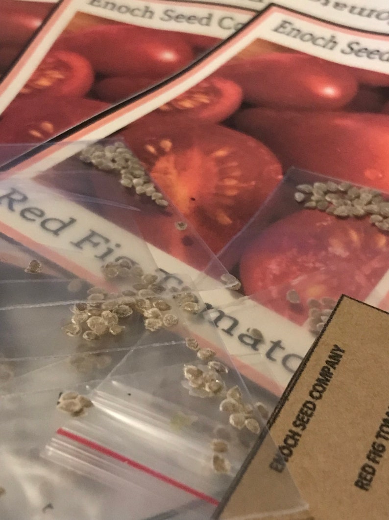 Red Fig Tomato (25 Seeds Min.) - Etsy
