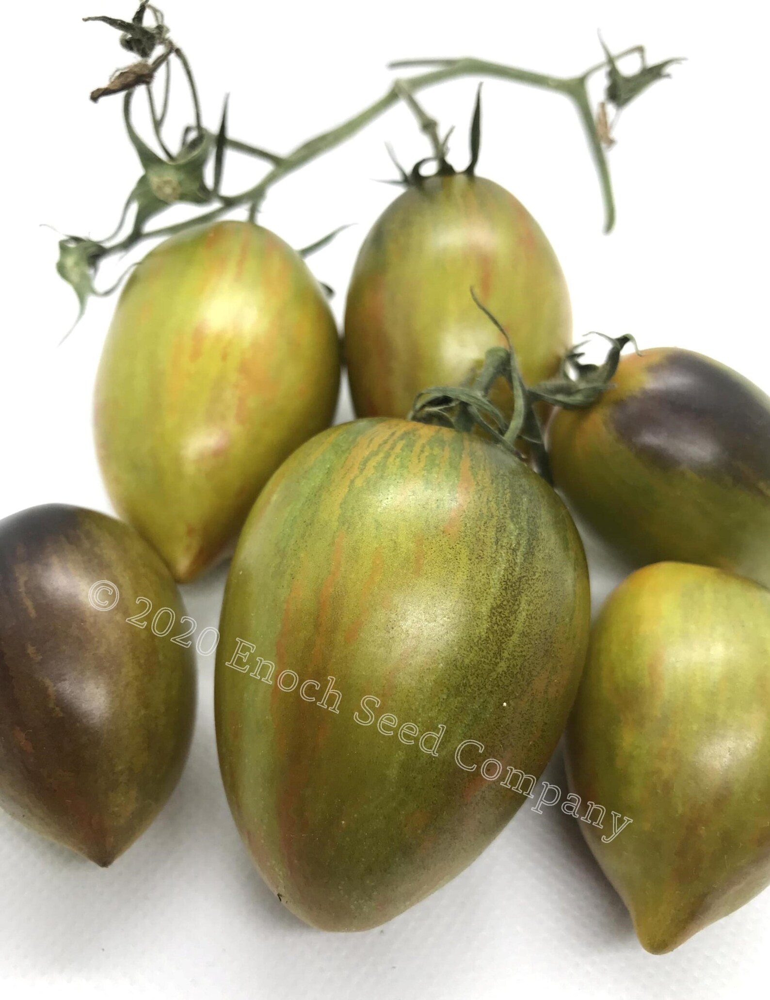 Atomic Grape Tomato Wild Boar Farms Open Source Seed Grown | Etsy