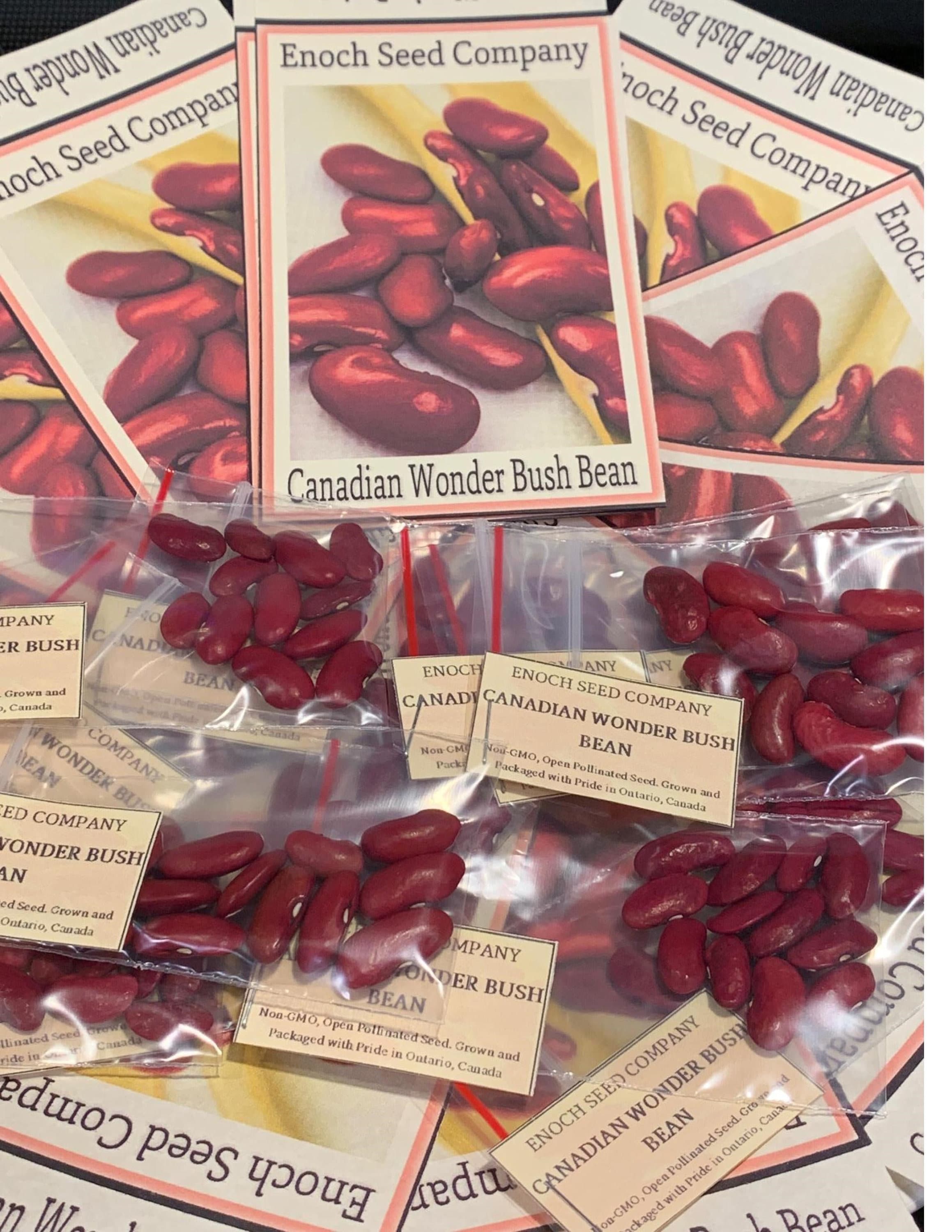 Canadian Wonder Bush Bean Rare Heirloom Red Beans - Etsy Canada