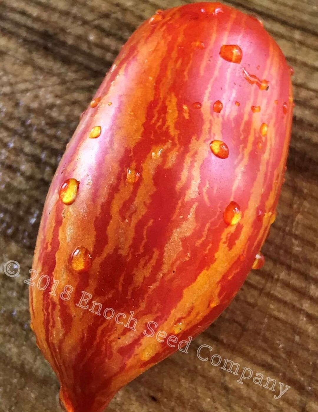 Striped Roman Tomato, Colourful Paste Tomato (non-gmo, Open Pollinated ...