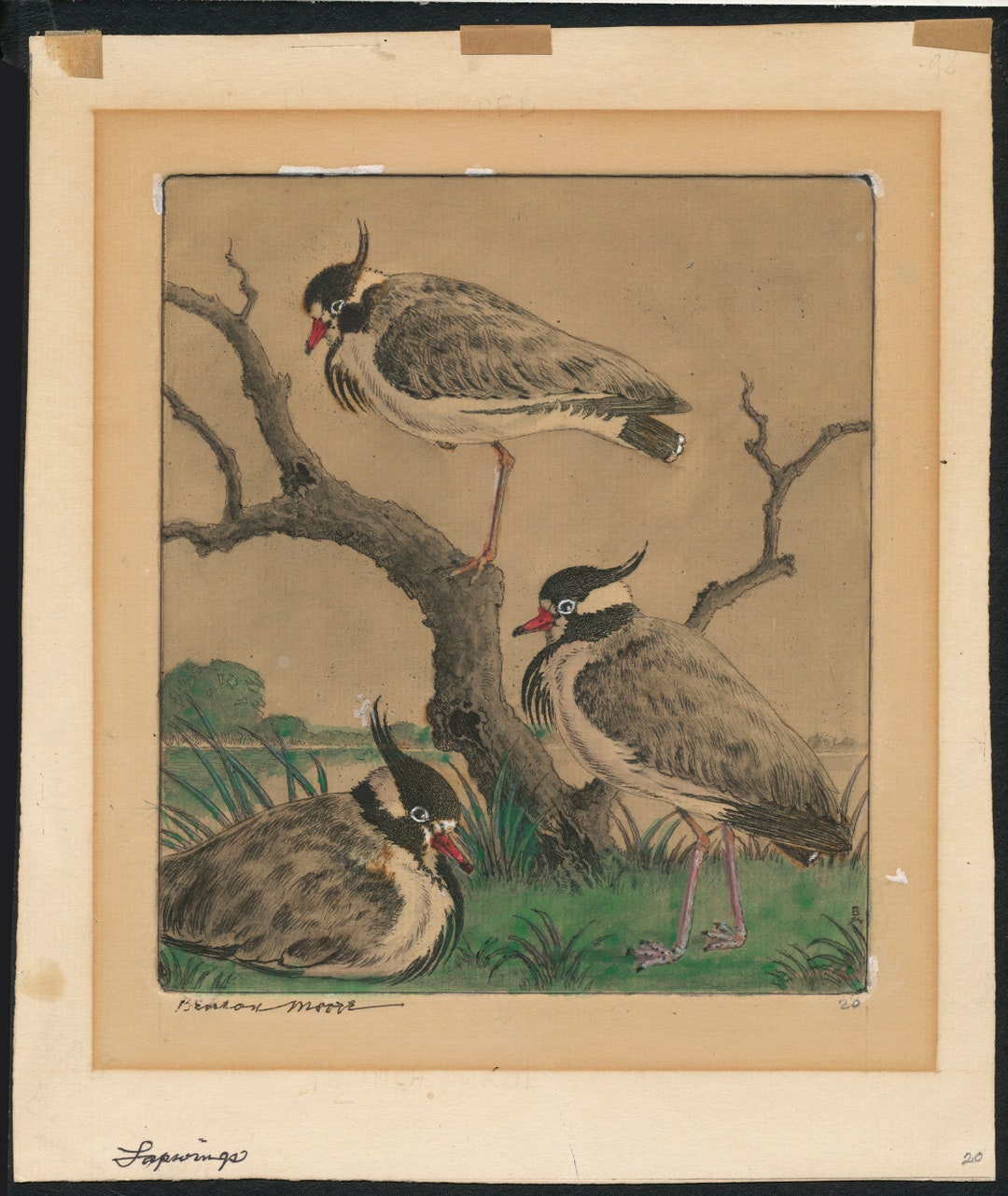Benson B Moore Lapwings Hand Painted Etching - Antique, Vintage ...