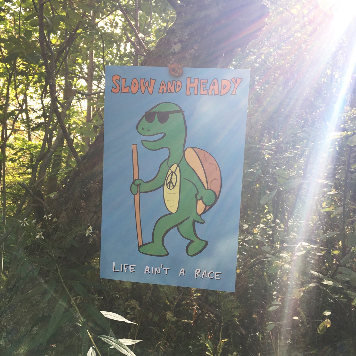 Stoner Turtle Poster / Hippie Poster / 420 Art Print | Etsy