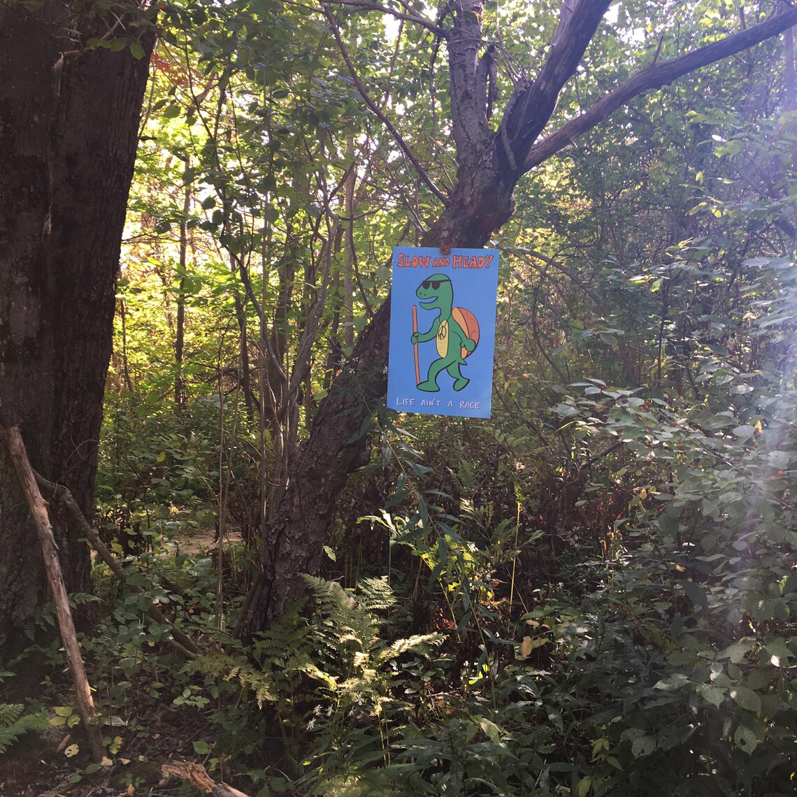 Stoner Turtle Poster / Hippie Poster / 420 Art Print | Etsy