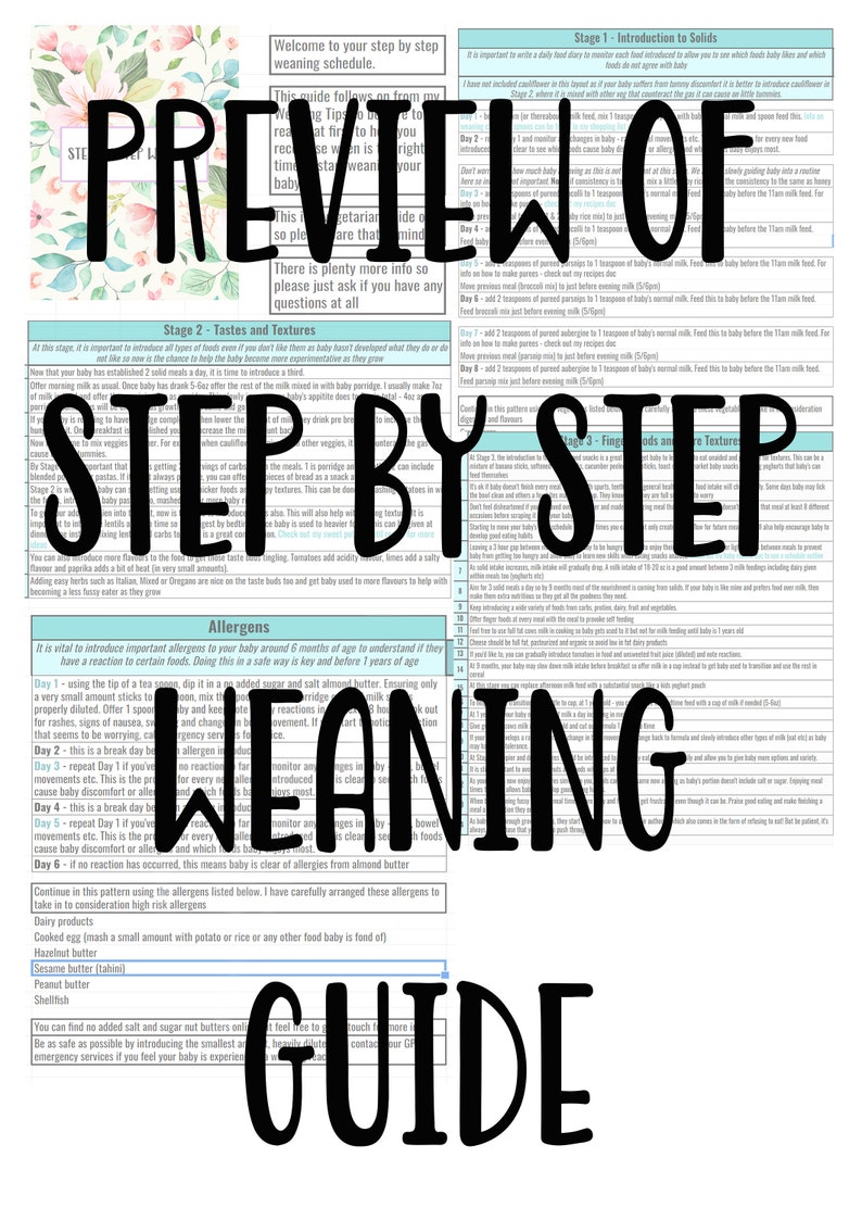 Step by Step Weaning Guide - Etsy