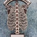 BACKBONE of the ARMY Plaque With Removable Rank - Etsy