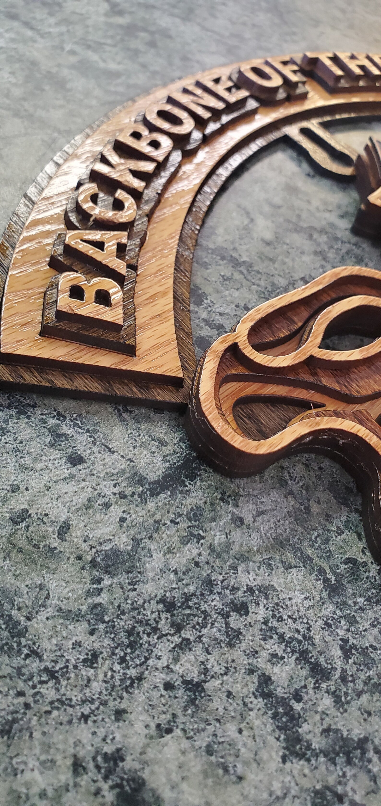 NEW UNIQUE NCO Backbone of the Army Plaque - Etsy