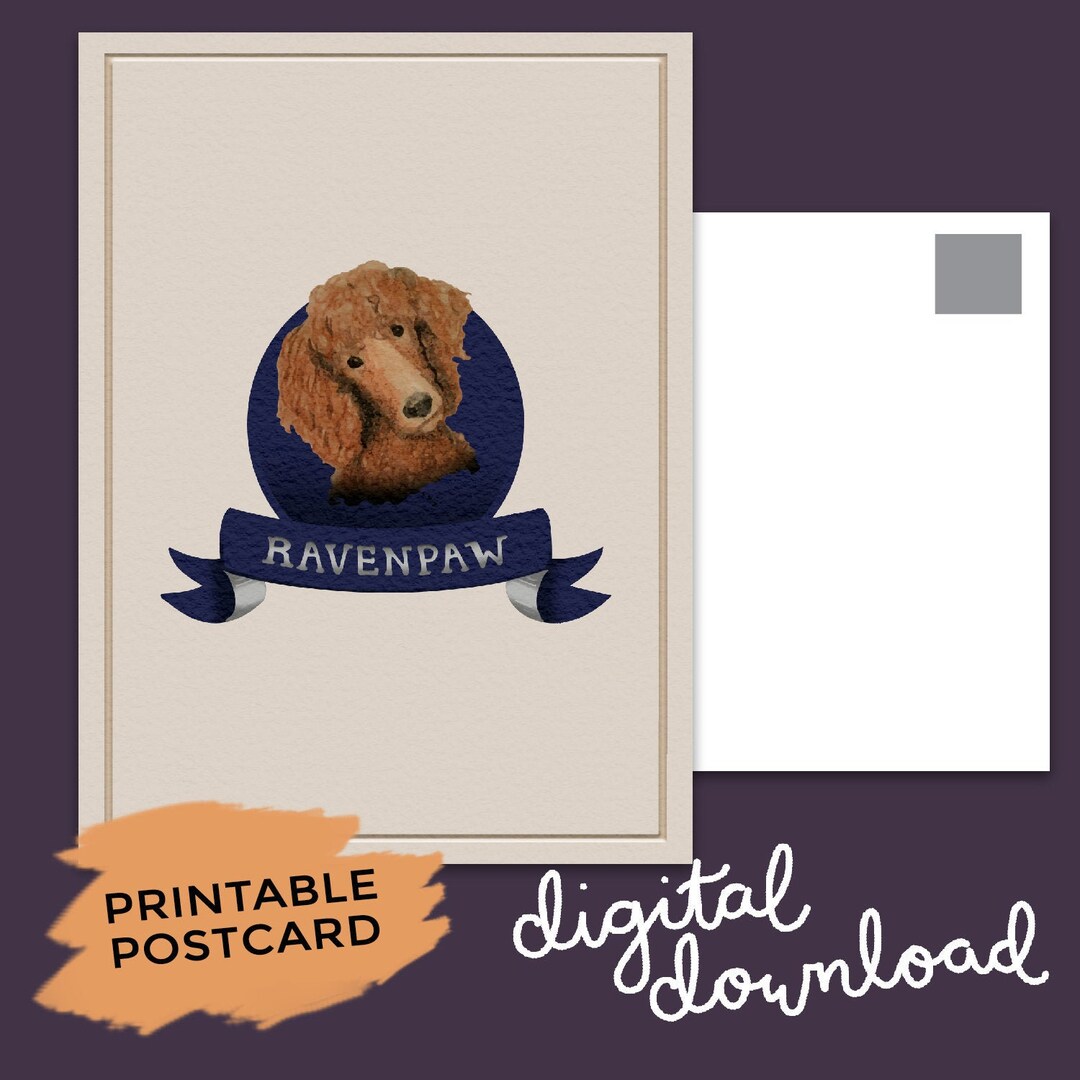 Dogwarts: Carte postale numérique Ravenpaw - Etsy France