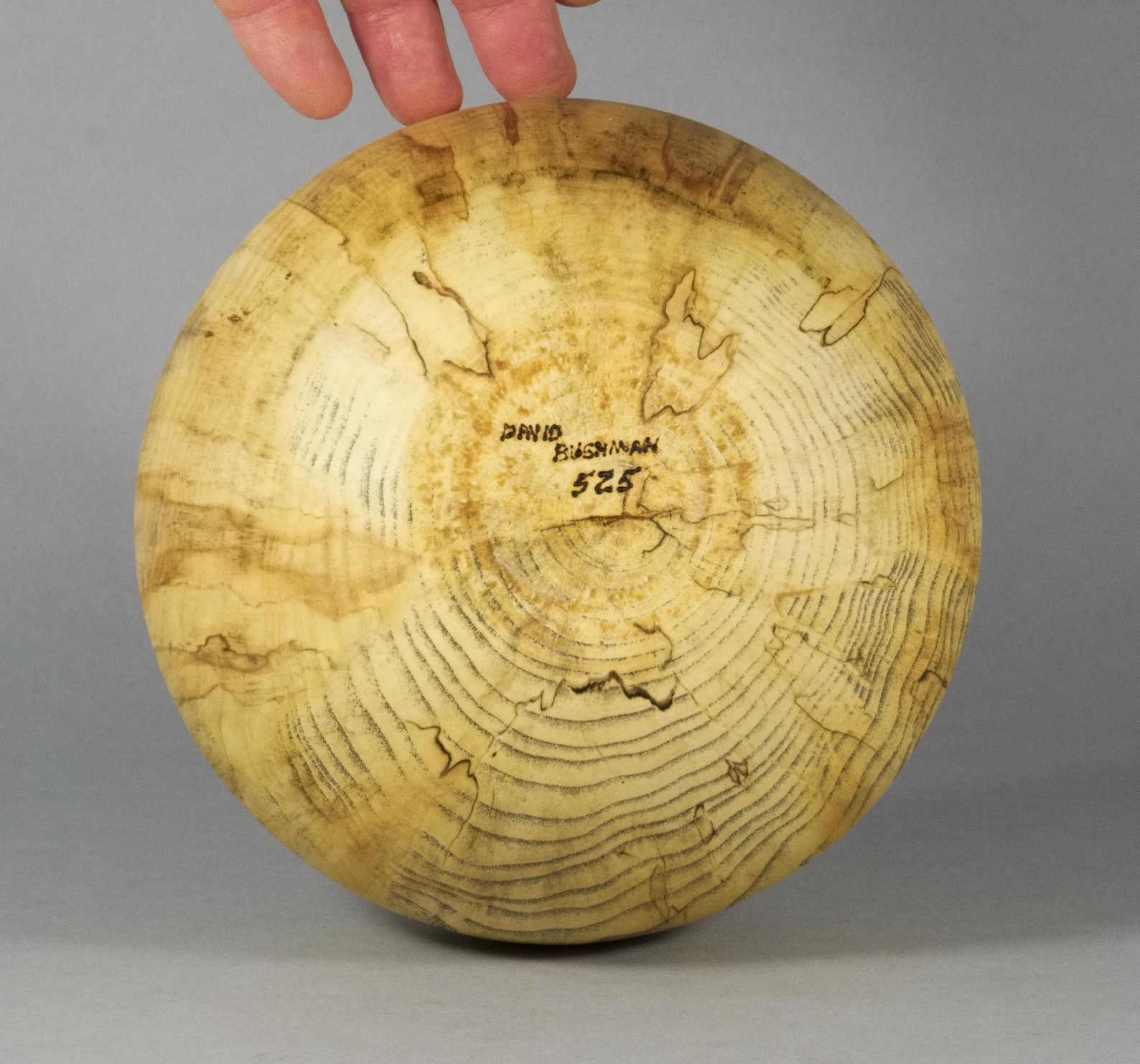 Lathe Turned Hackberry Wood Hollow Form W/ African Blackwood Ring, Fine ...