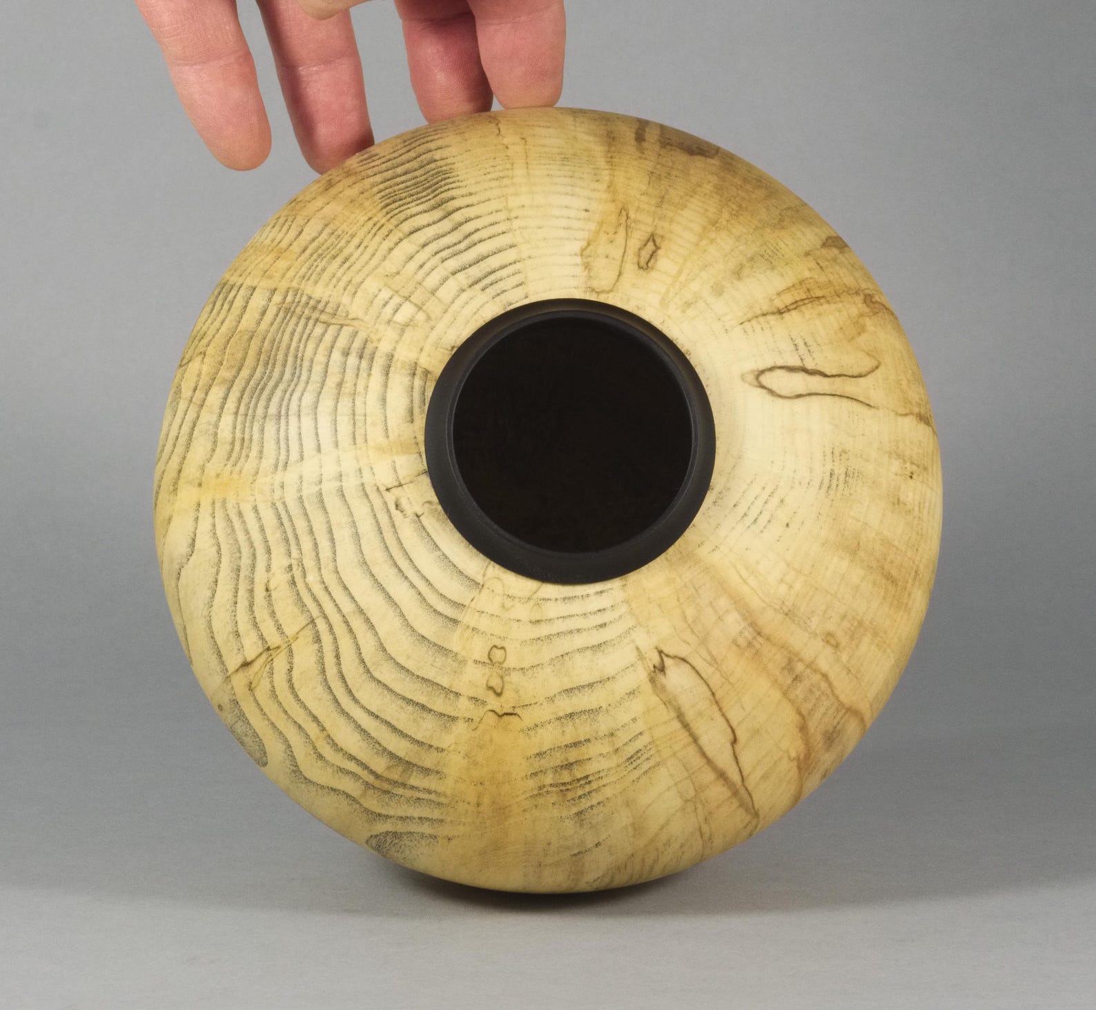 Lathe Turned Hackberry Wood Hollow Form W/ African Blackwood Ring, Fine ...