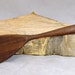 Walnut Wood Spurtle or Spatula Kitchen Utensil, Right Handed, Hand ...