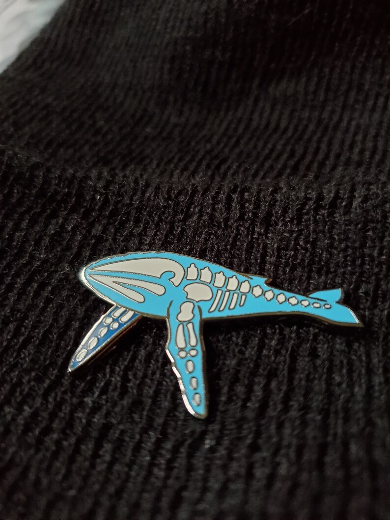 Humpback Whale Enamel Pin - Anatomy Skeleton - Etsy