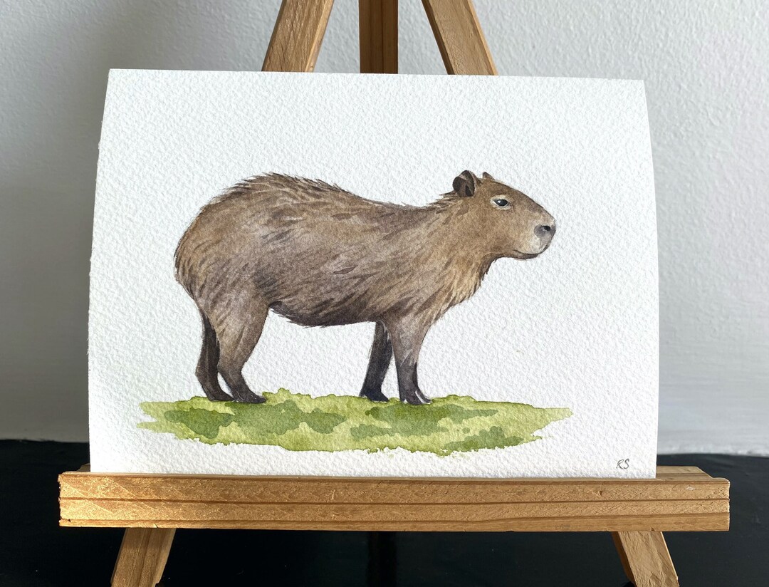 Original Watercolour Capybara Illustration, Hand Painted Capybara ...